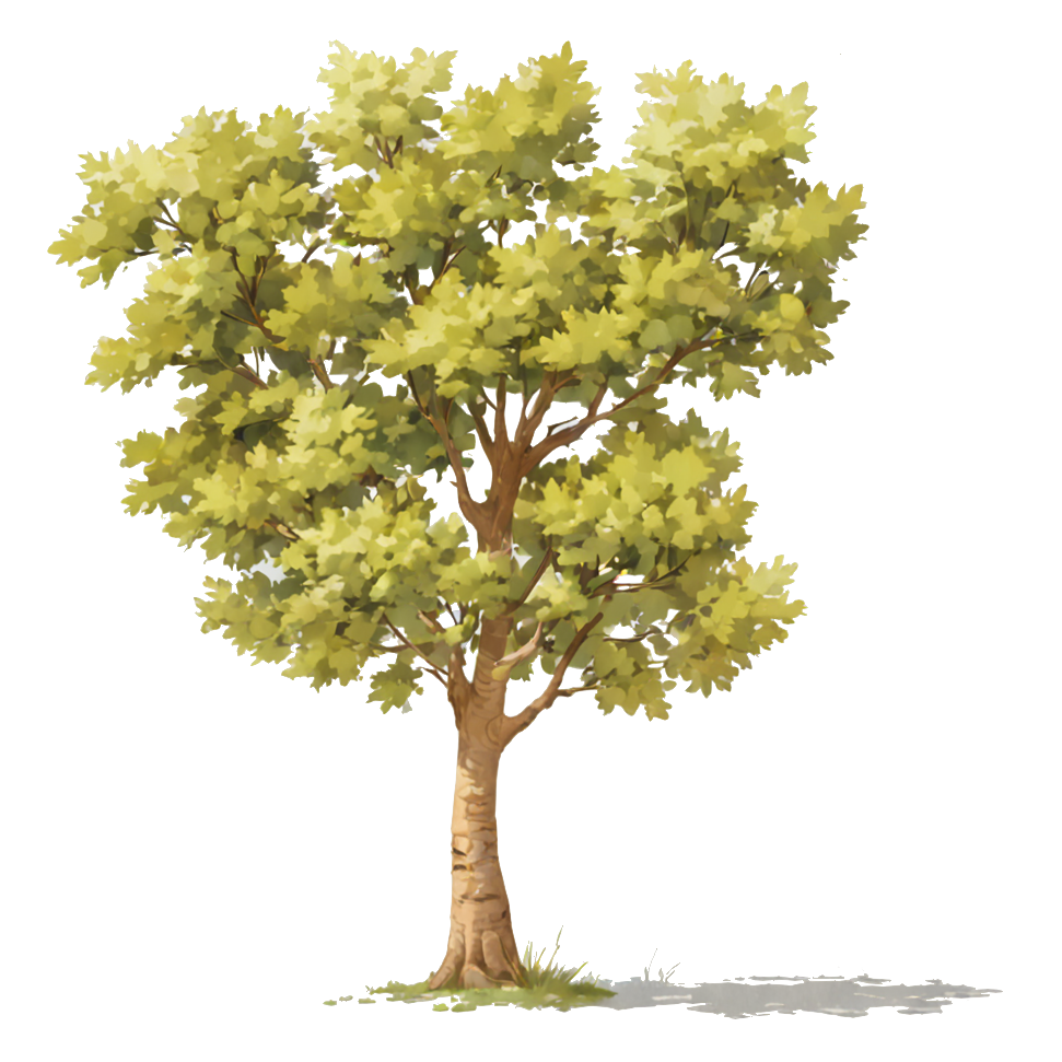 Trees