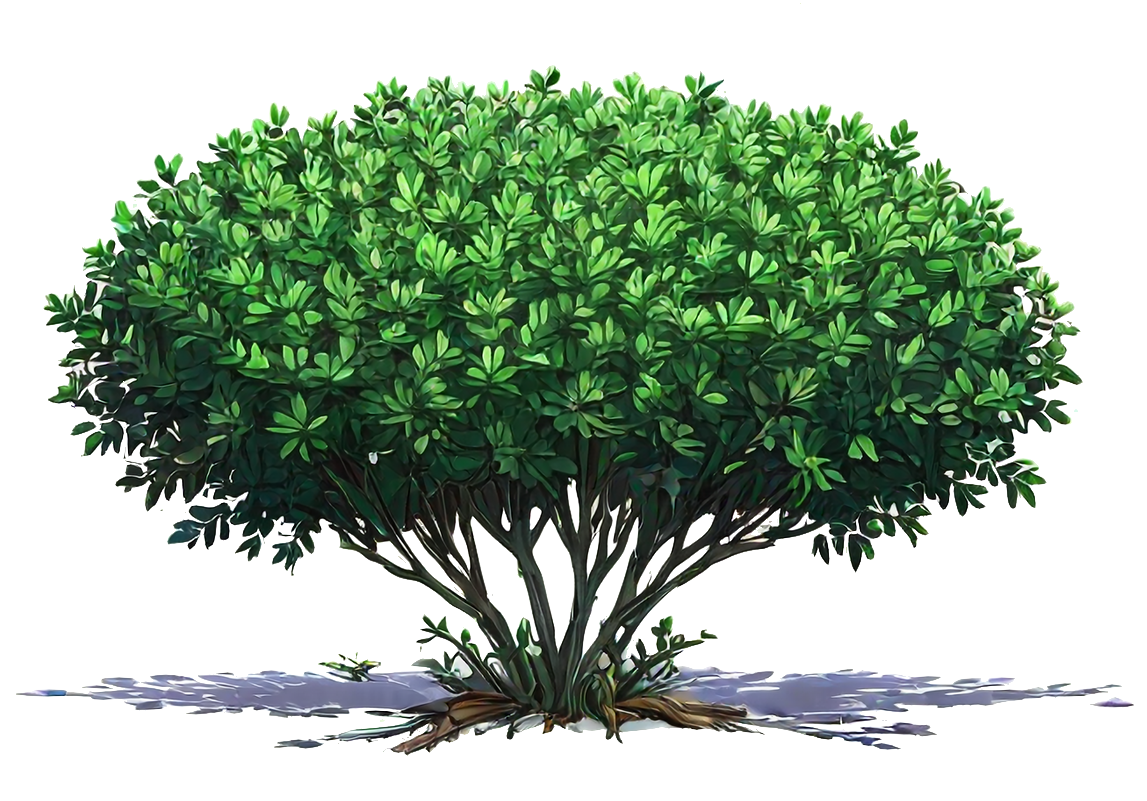 Bushes