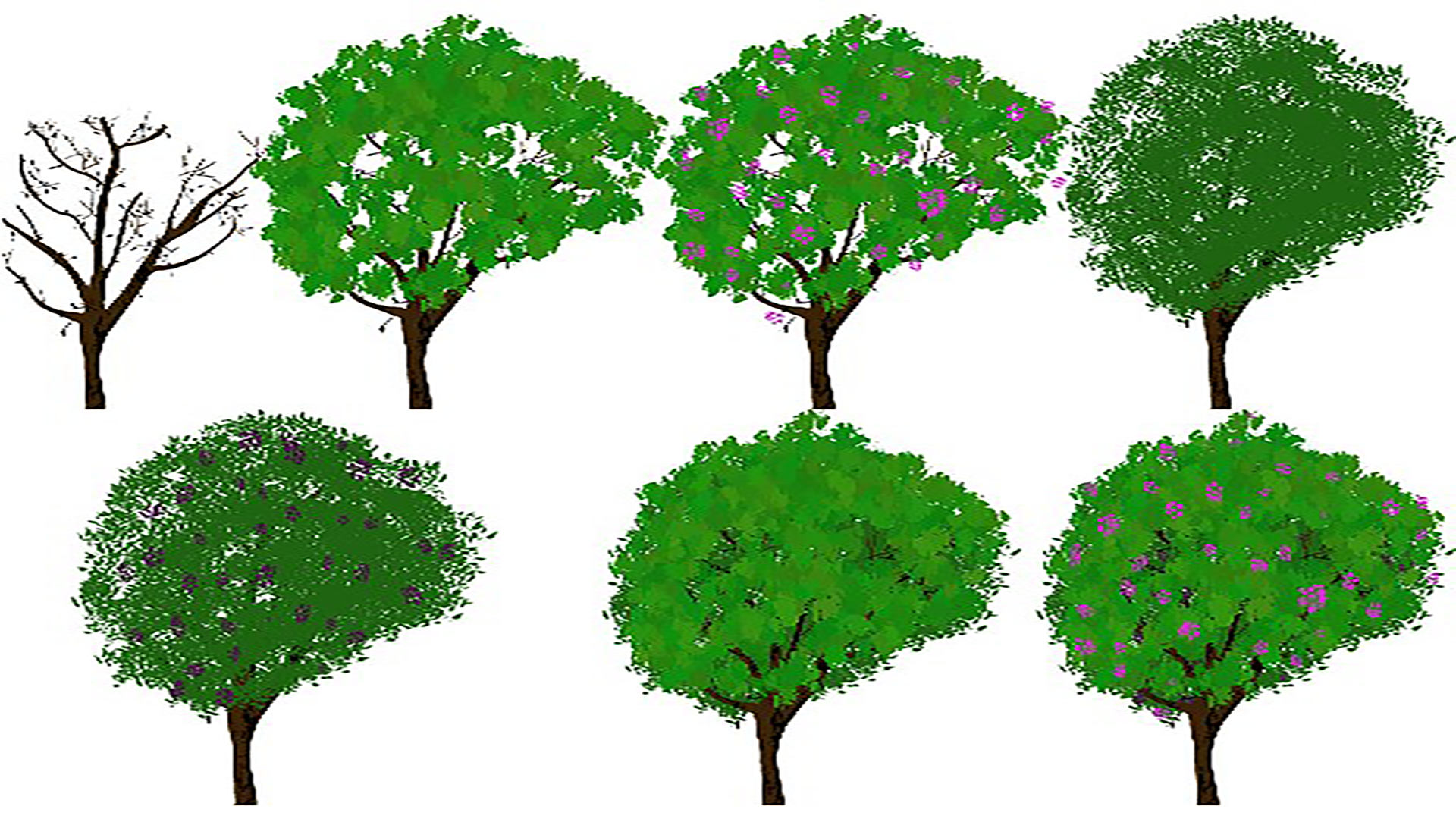 TREE 003