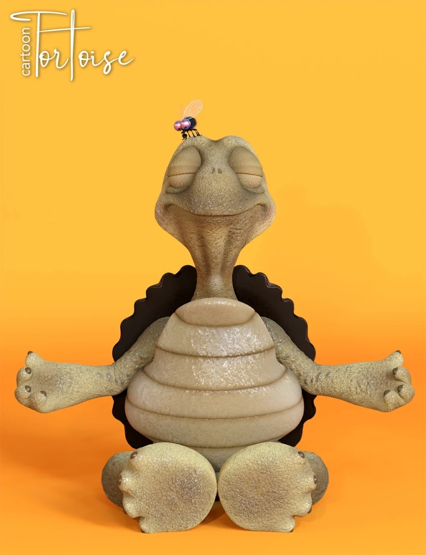 Toon Tortoise