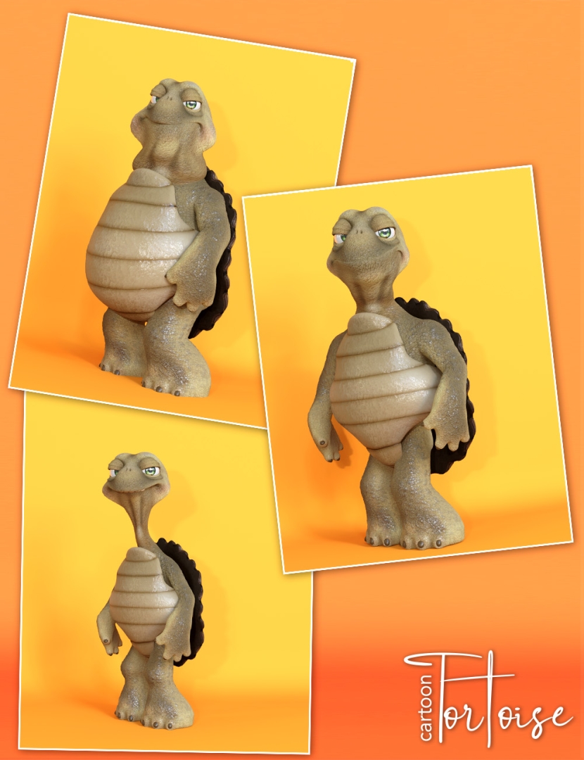 Toon Tortoise