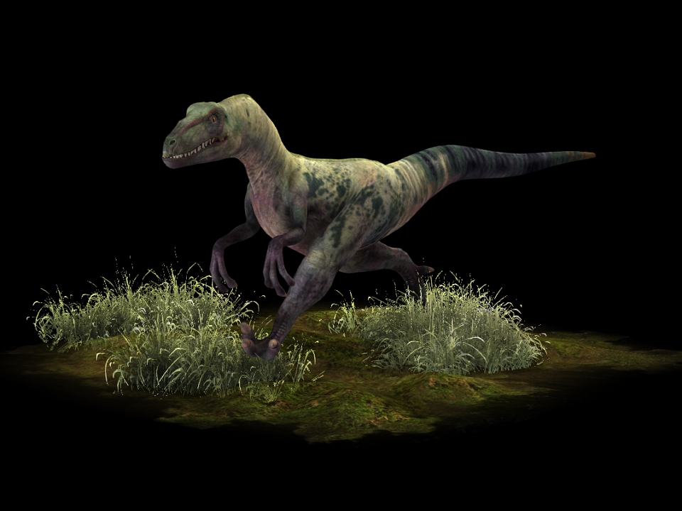 Velociraptor