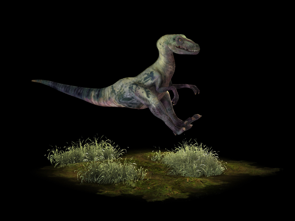 Velociraptor