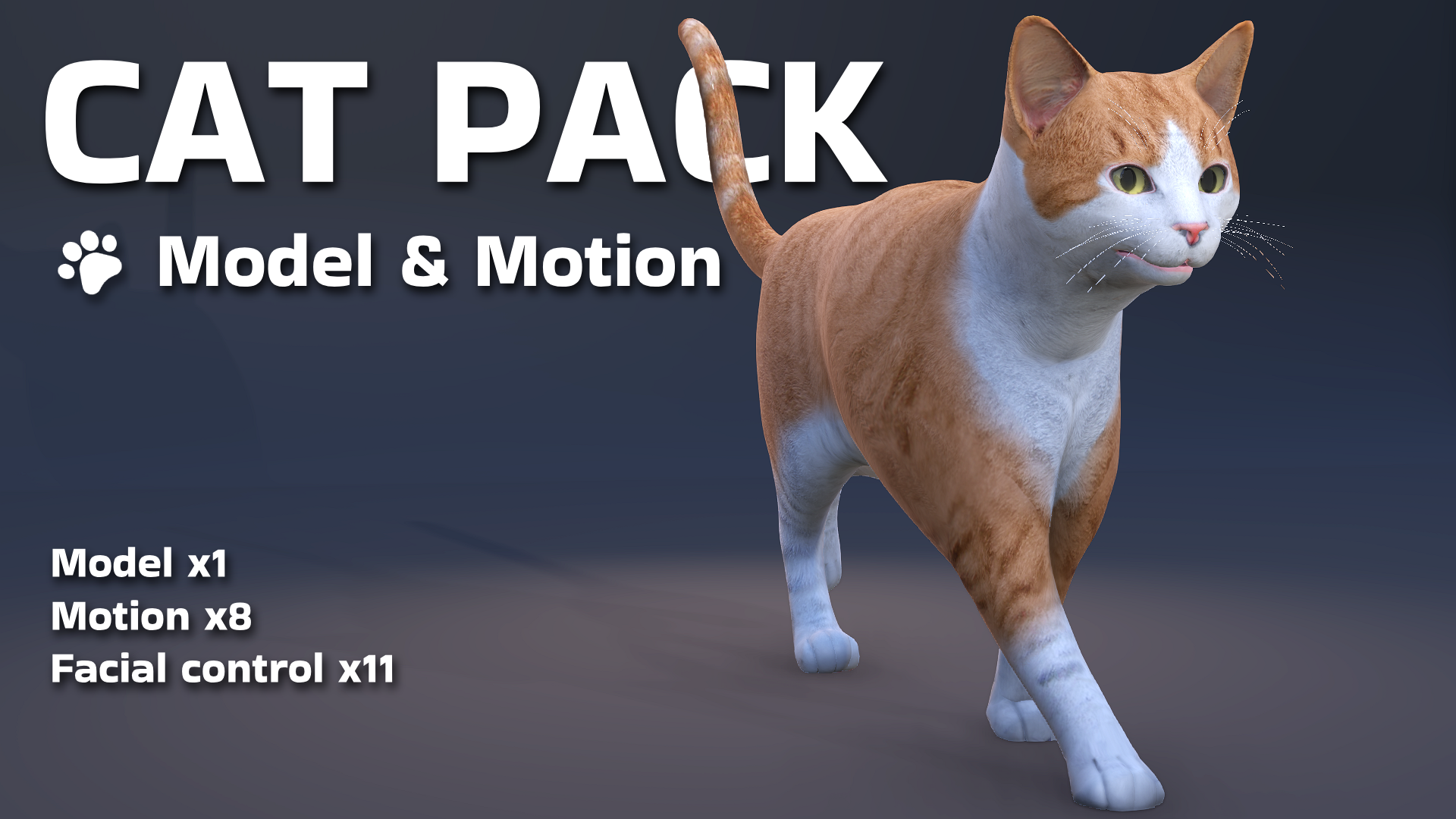 Cat_pack