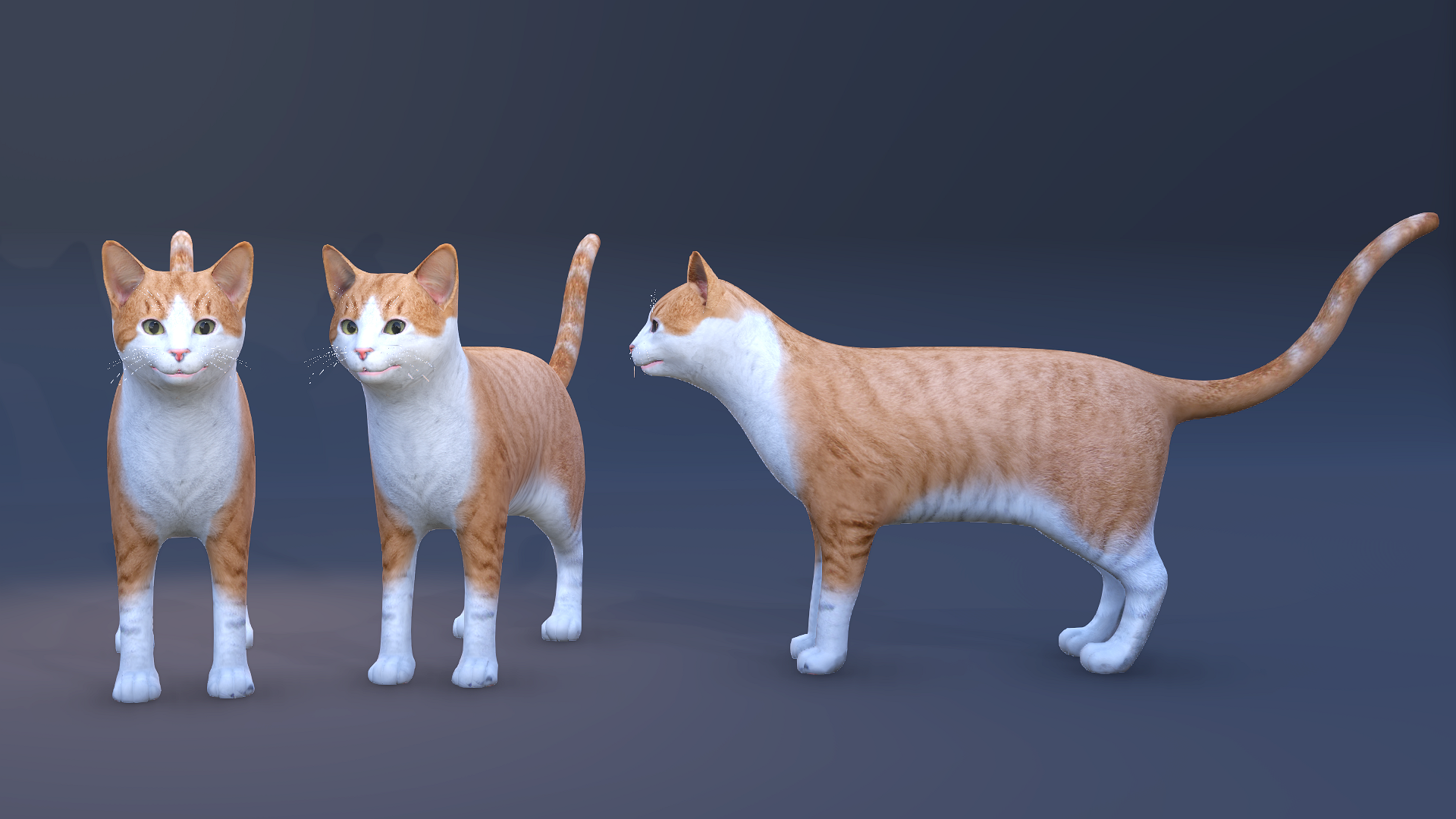 Cat_pack