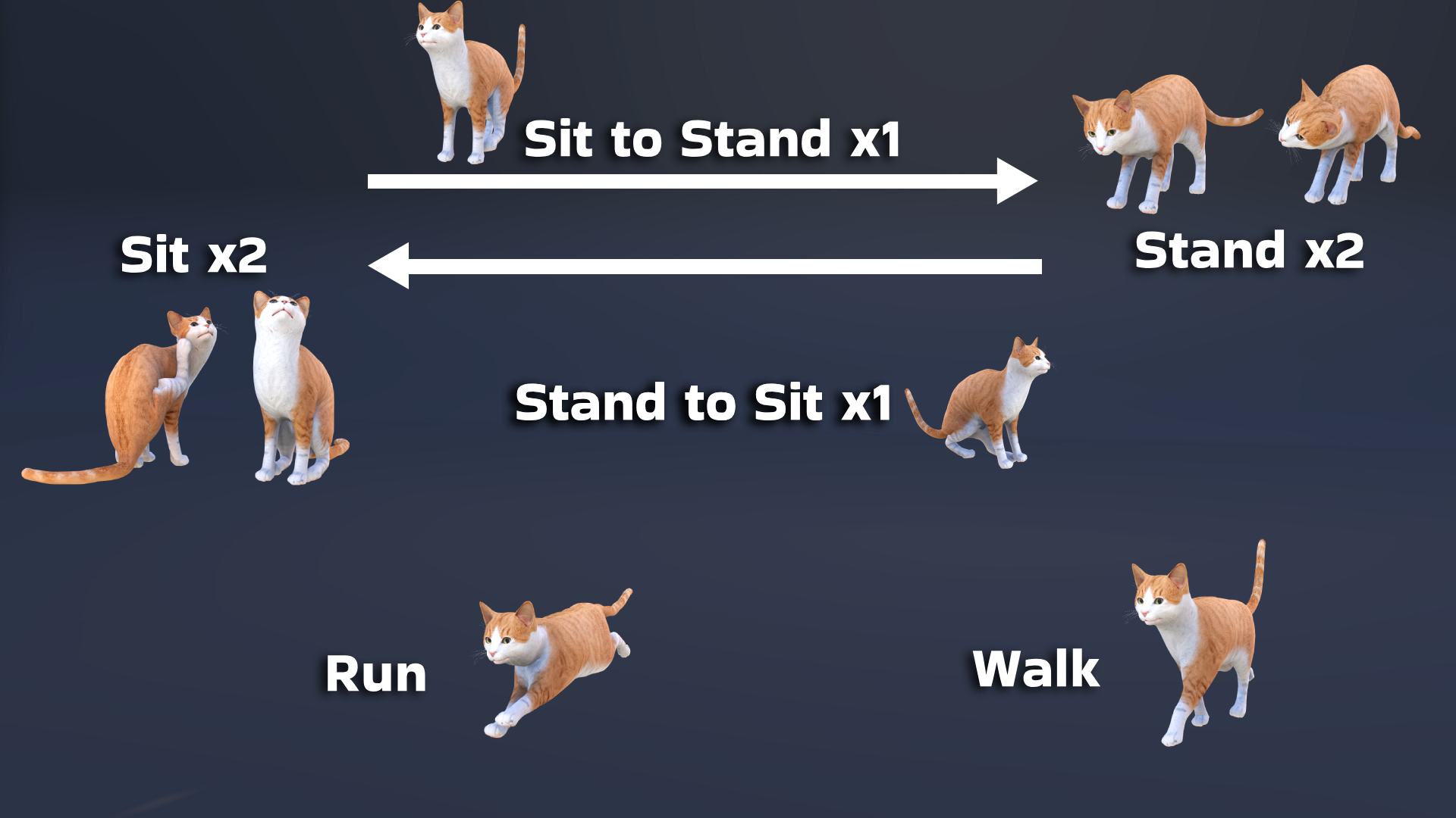 Cat_pack
