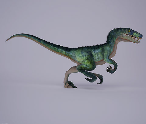 Raptor