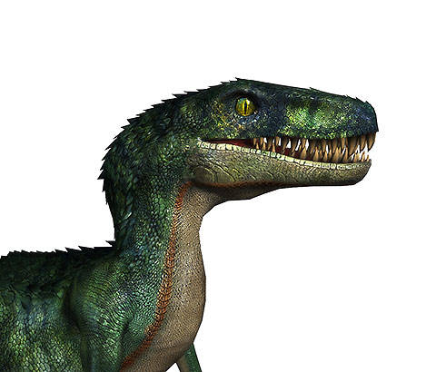 Raptor