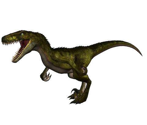 Raptor