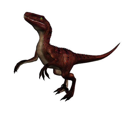 Raptor