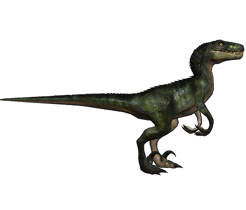 Raptor