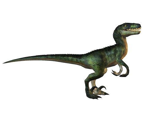 Raptor