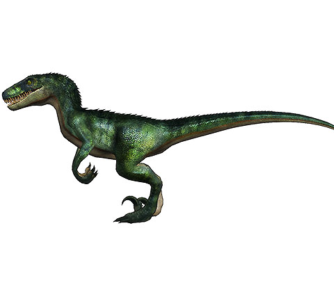 Raptor