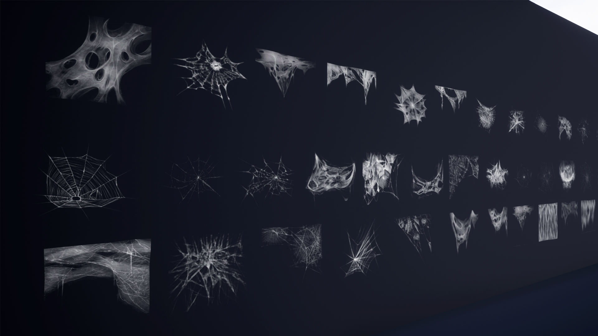 Large Spiderweb Collection