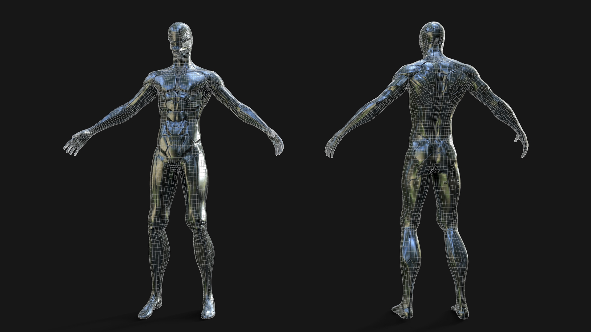 Nano-Cyborg