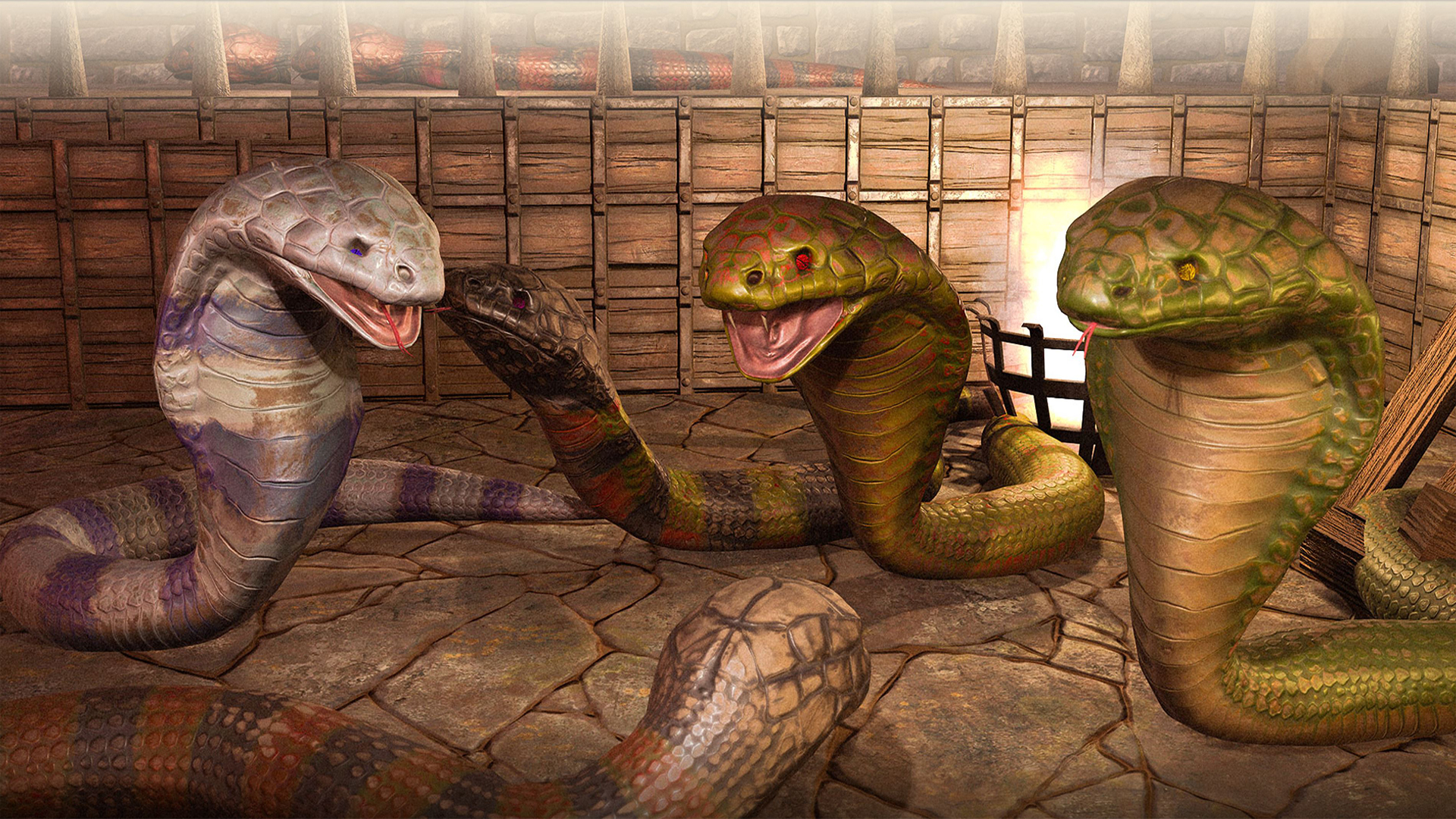 Cobra Snake Pack