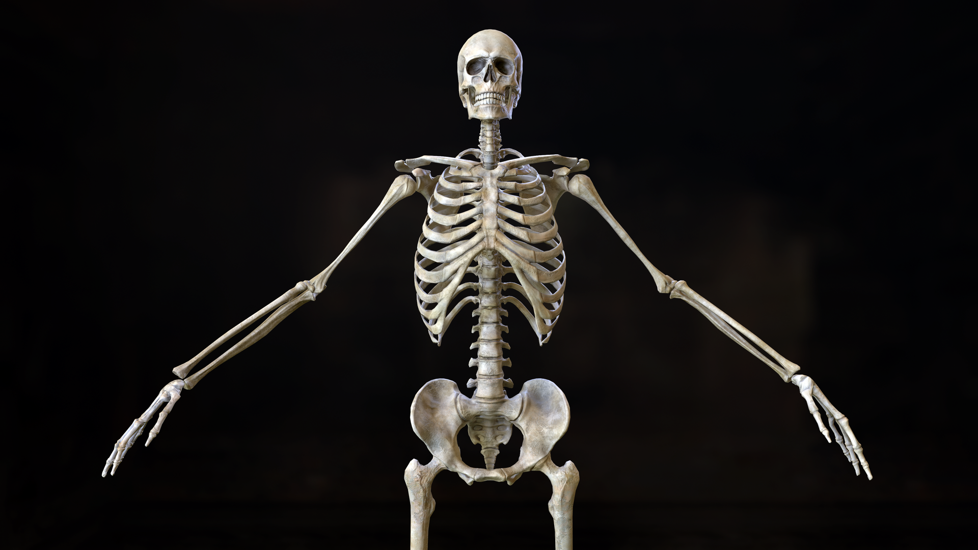 Skeleton 2.0