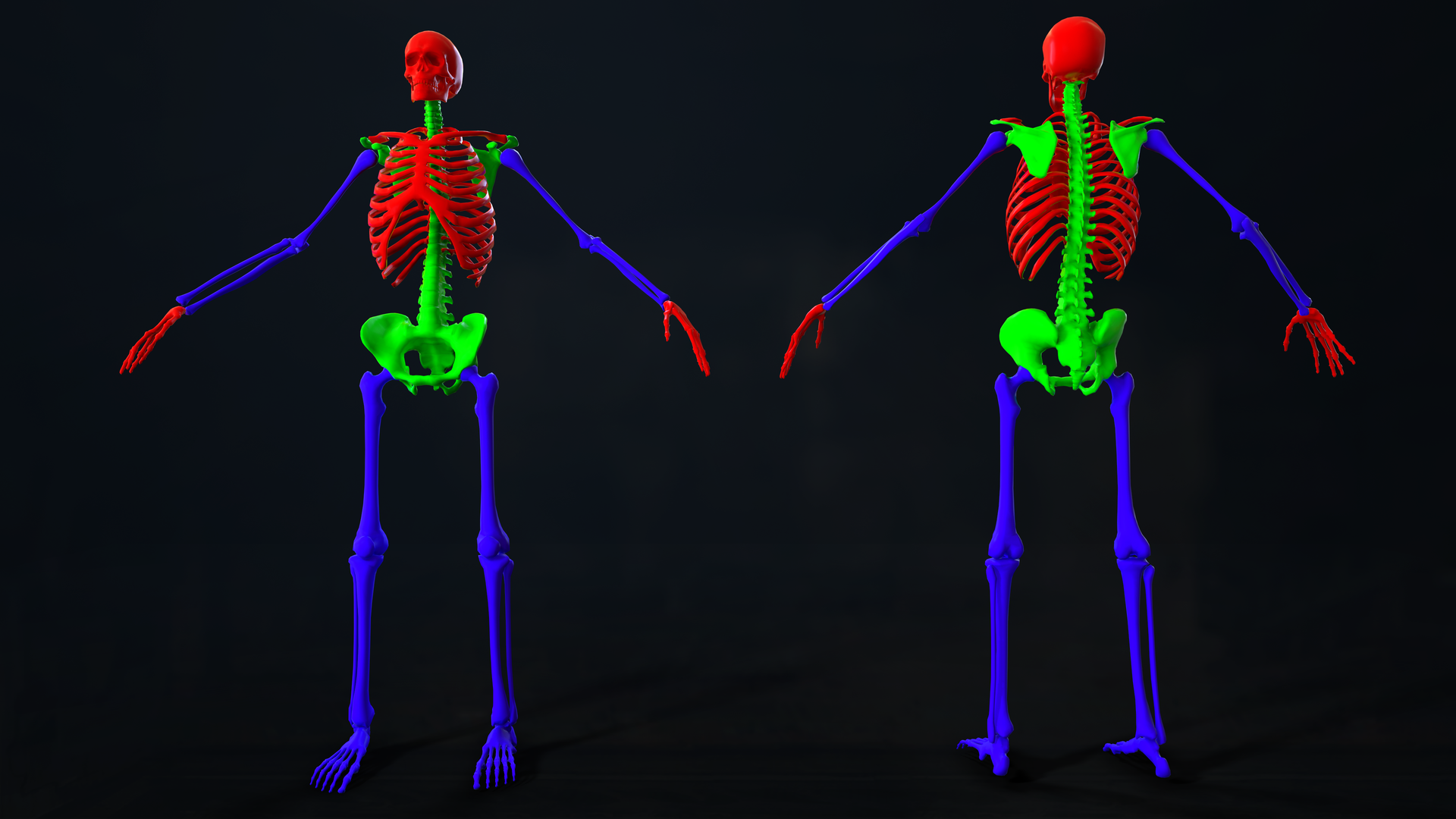 Skeleton 2.0