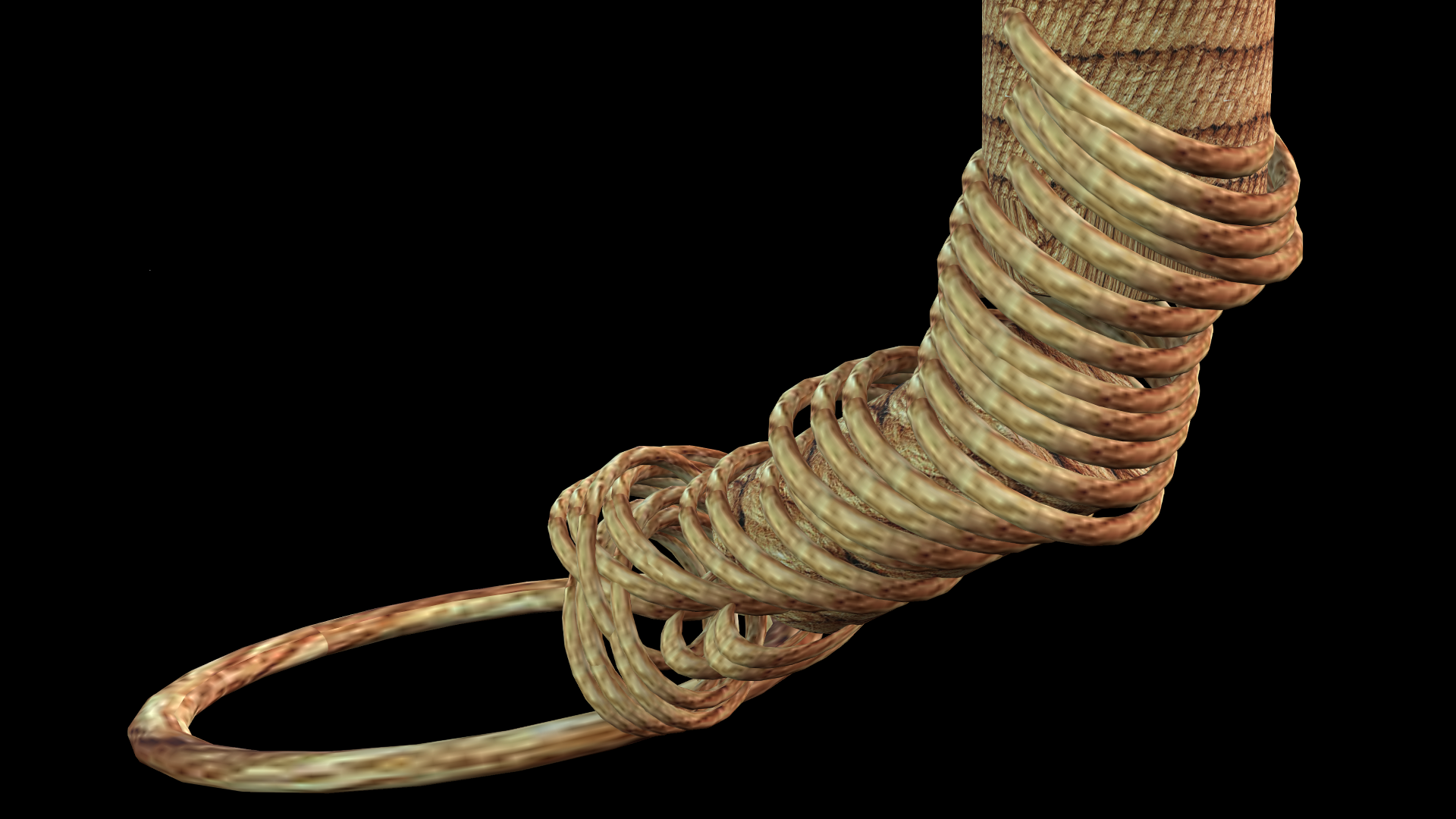 Noose