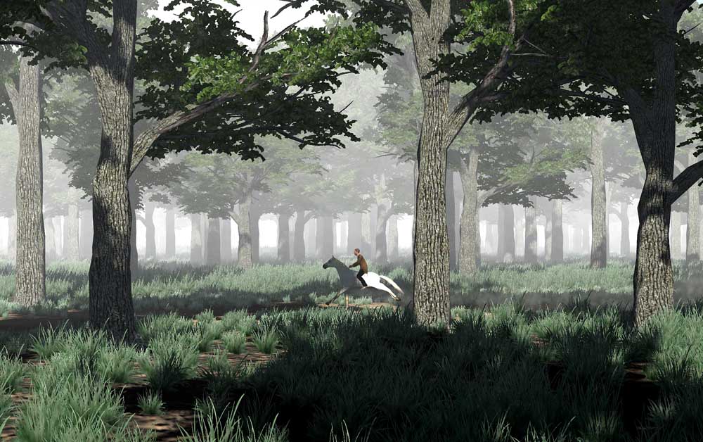 RIDING THRU FOREST 1