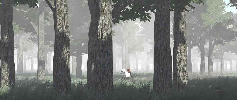 RIDING THRU FOREST 1