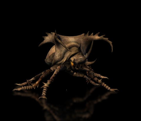 ×