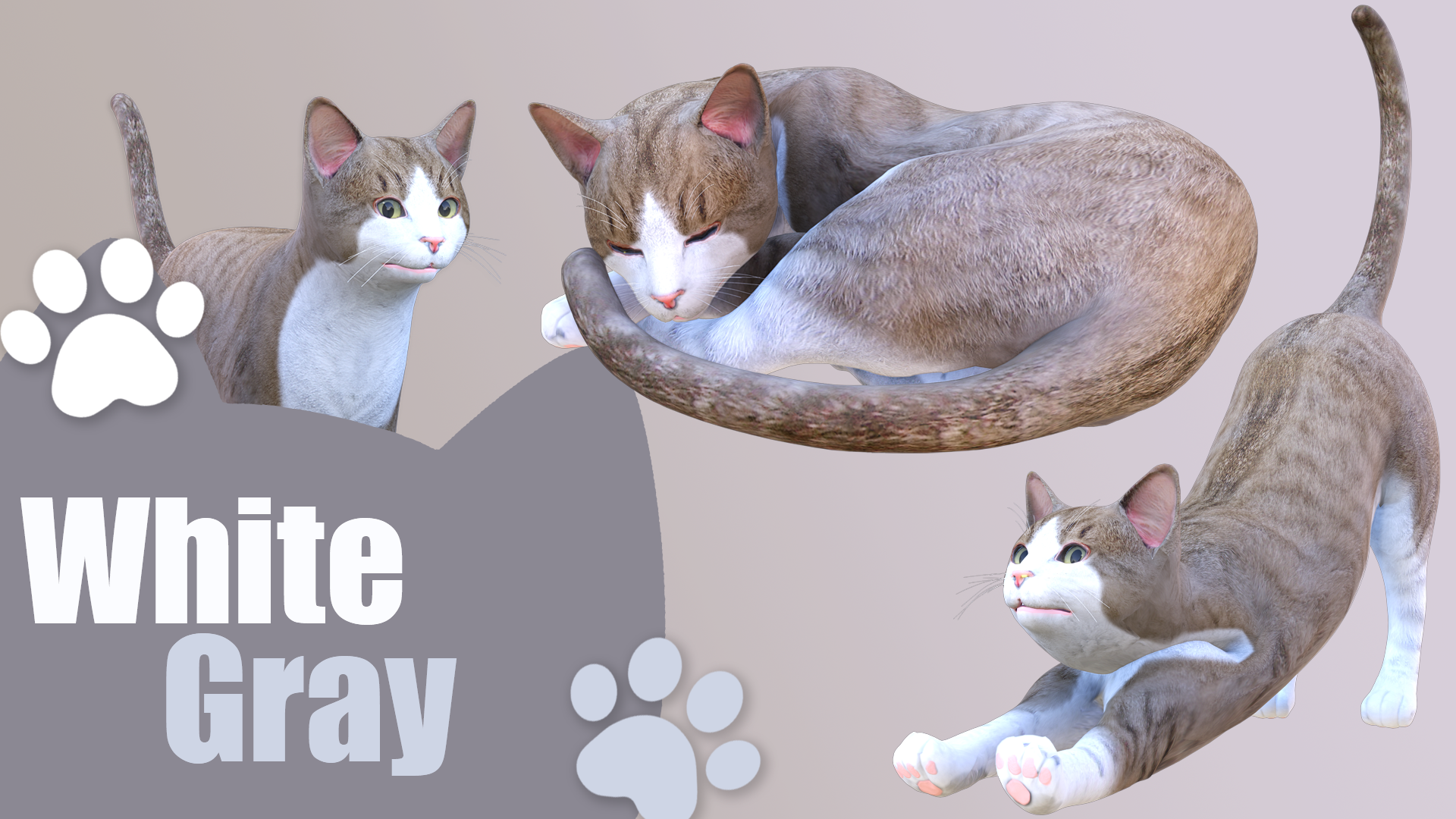 Cat_pack_DLC