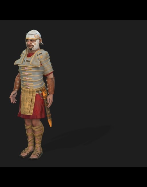 Roman Soldier