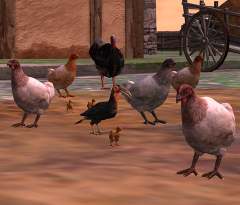 Countryside Birds Medieval Farm Animal