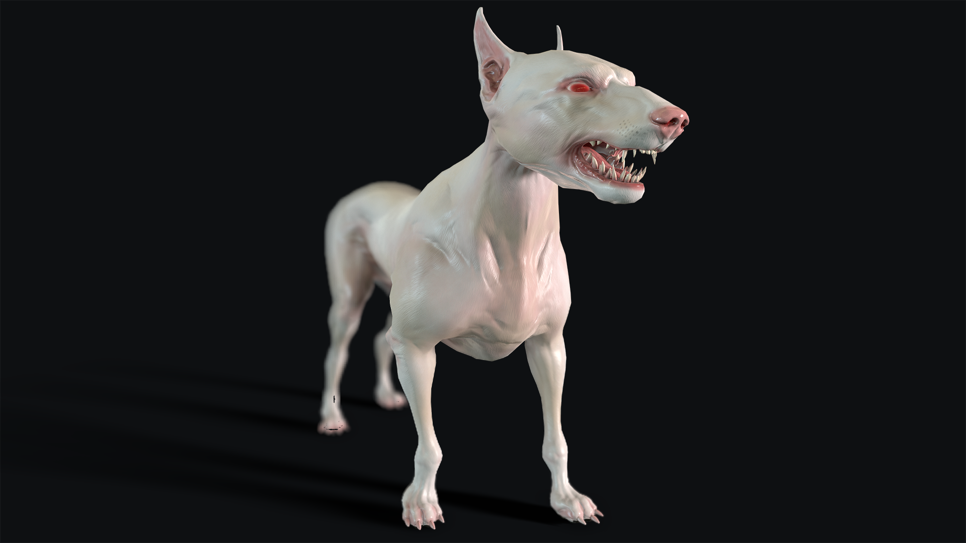 Combat Dog