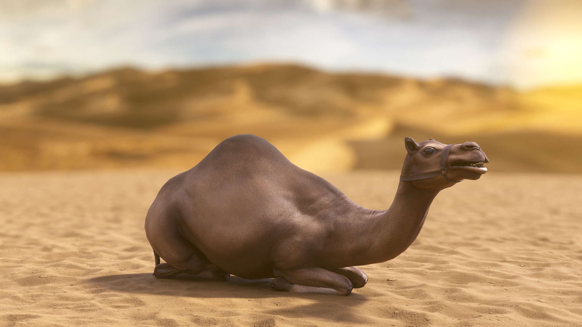 Desert Camel