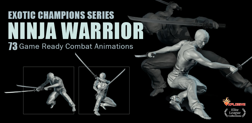 Ninja Warrior Animation Pack