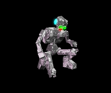 IRobo