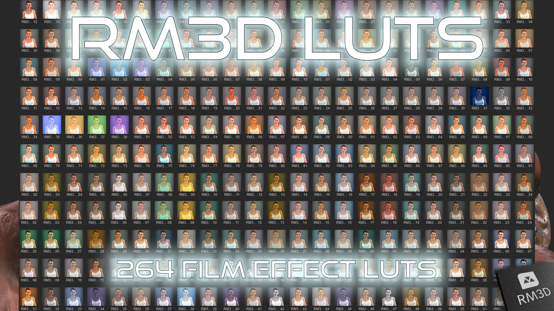 RM3D LUTs (264 variants)