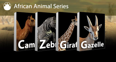 African Animals Pack 1 Bundle