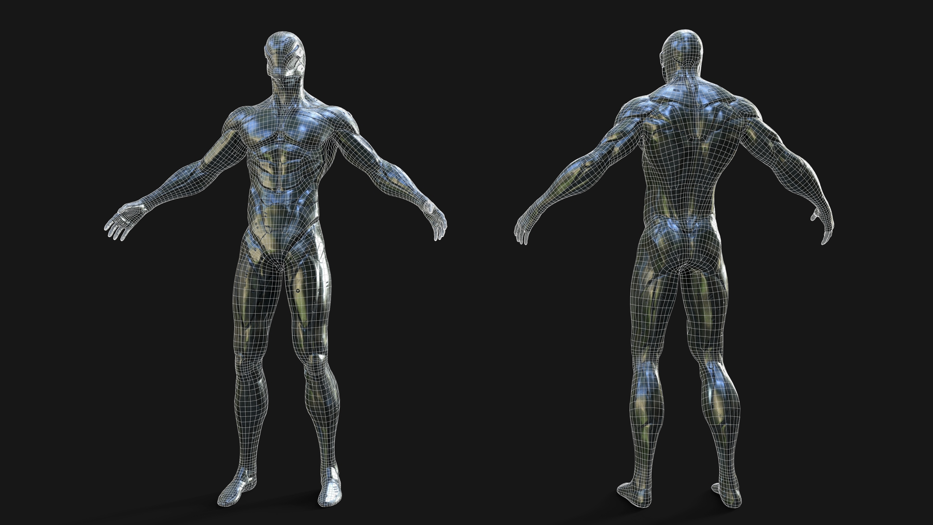 Large Nano-Cyborg