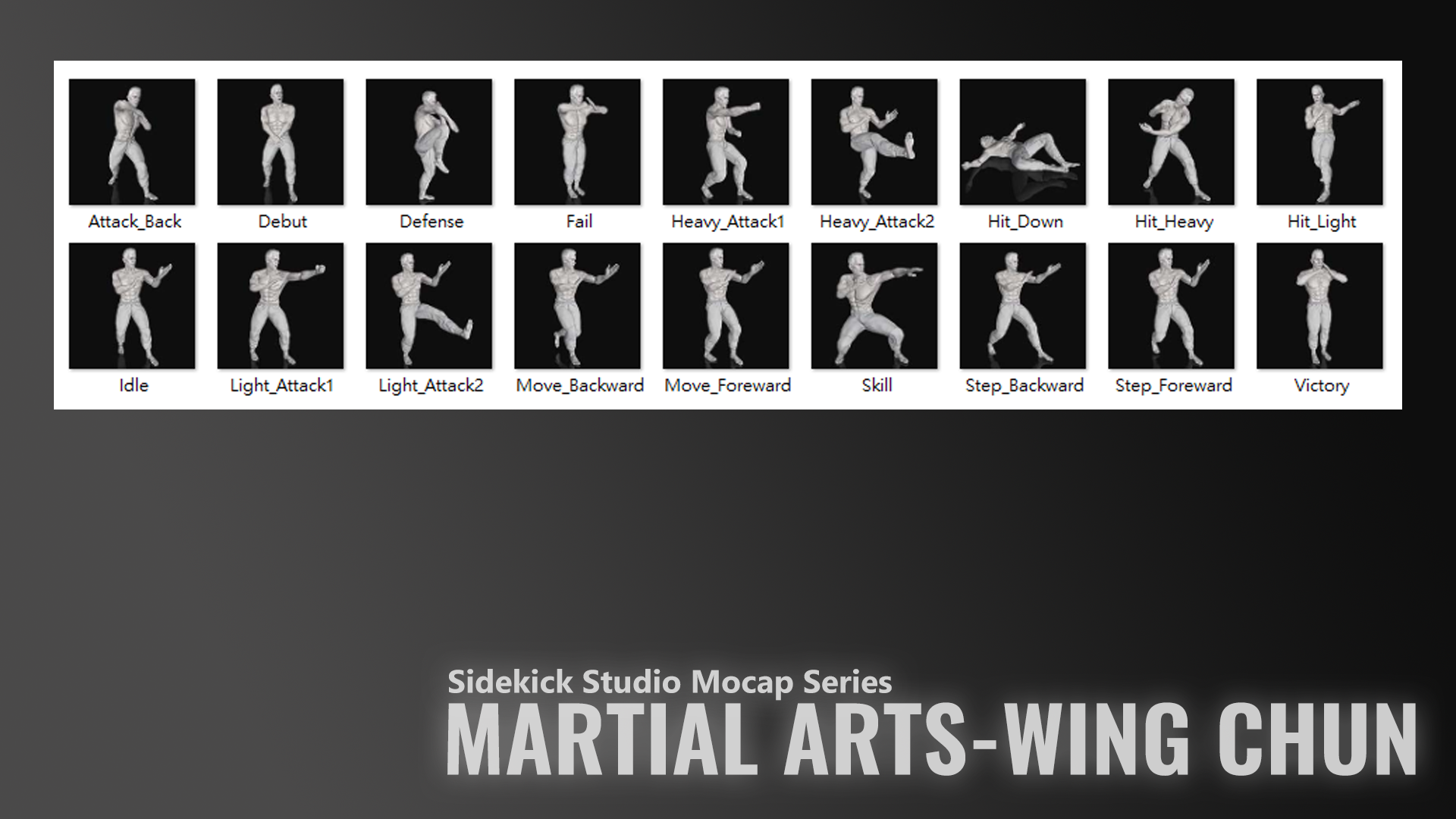 Martial Arts - Wing Chun