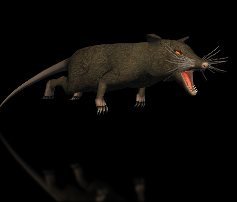 GIANT RAT Animal Creature