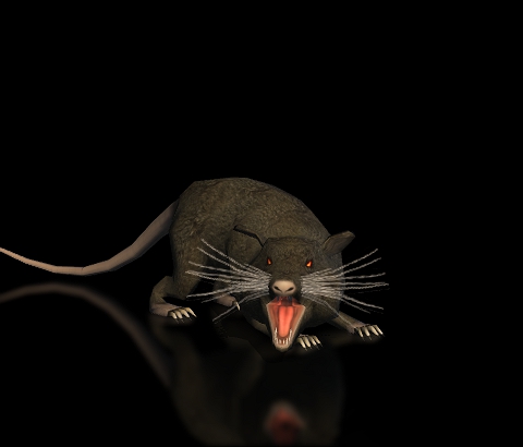 GIANT RAT Animal Creature