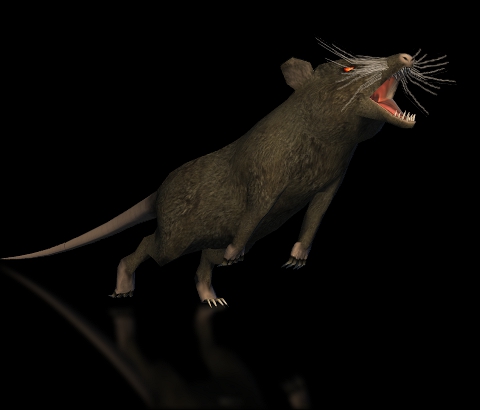 GIANT RAT Animal Creature