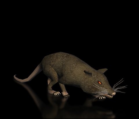 GIANT RAT Animal Creature