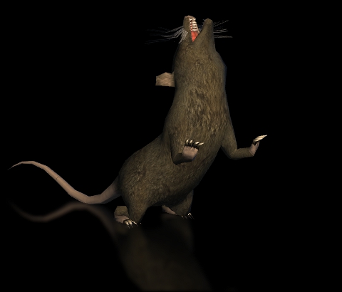 GIANT RAT Animal Creature