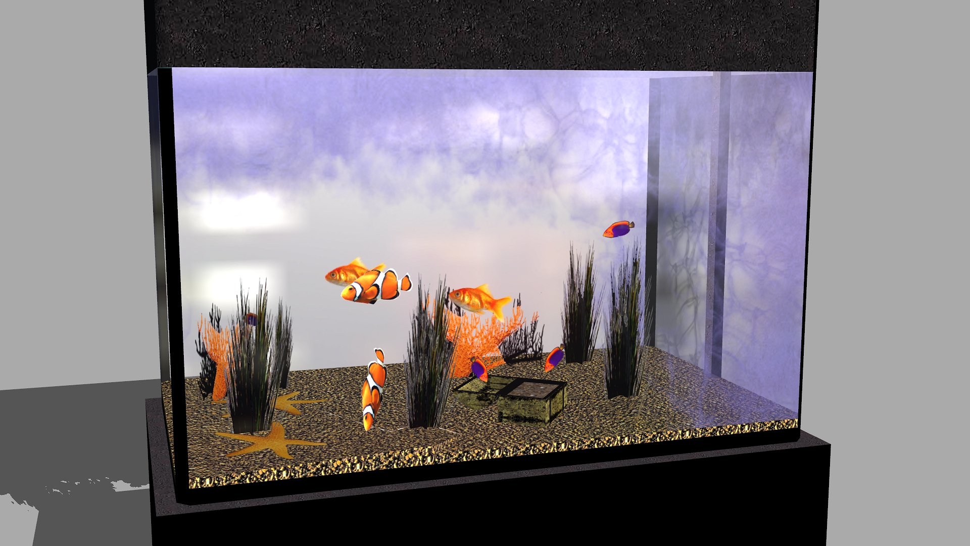 Tropical Fish Tank