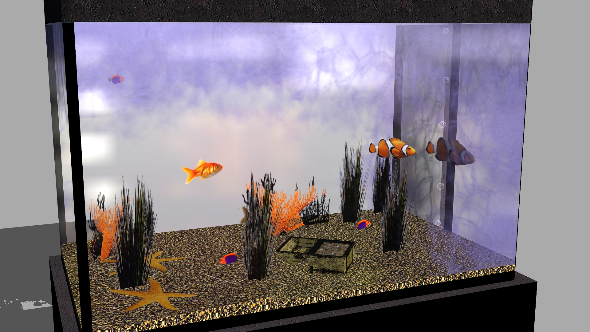 Tropical Fish Tank