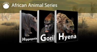 African Animal Pack 3 Bundle