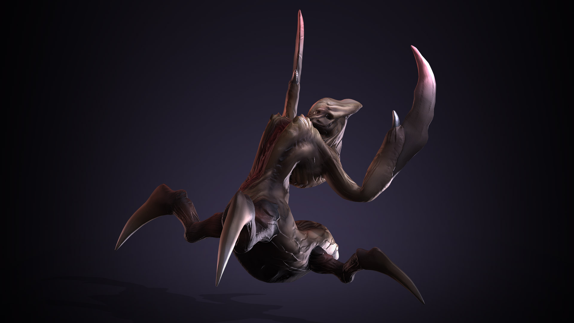 Creature Spider