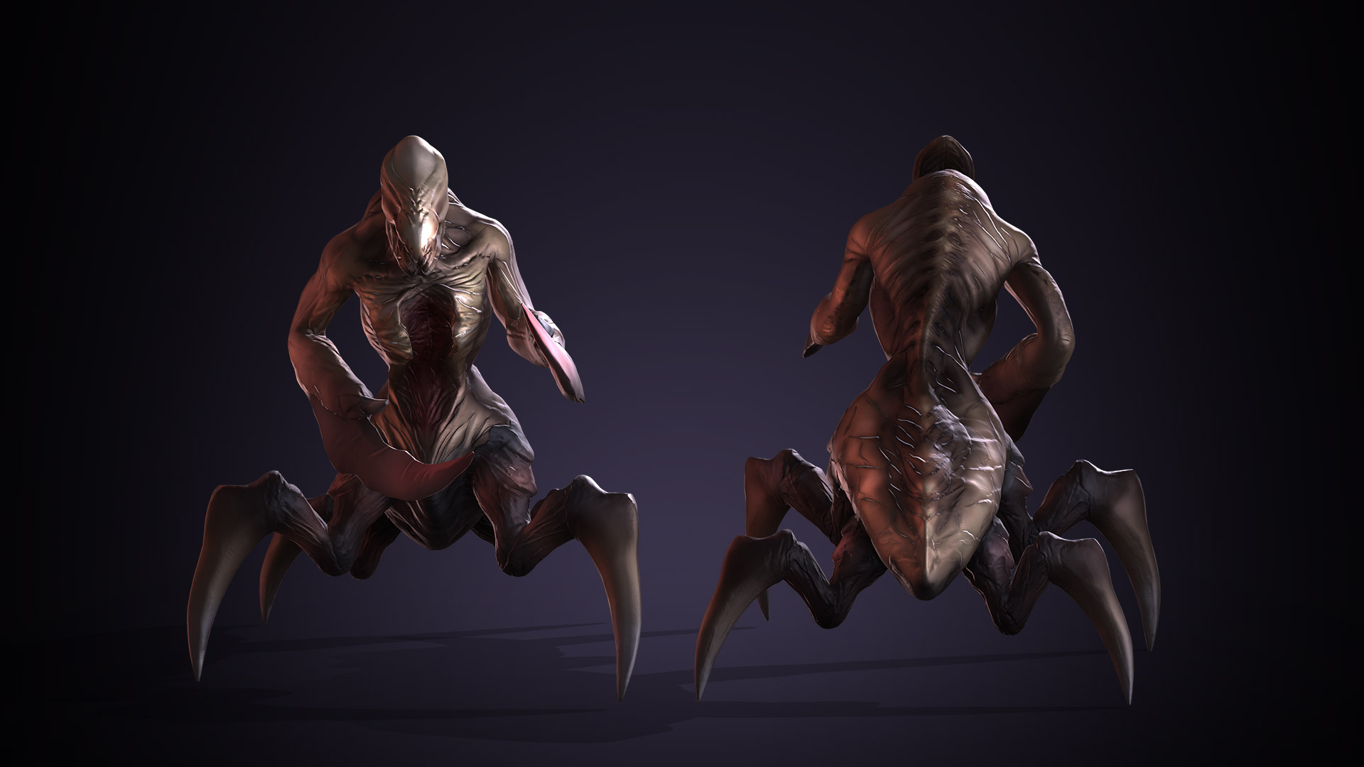 Creature Spider