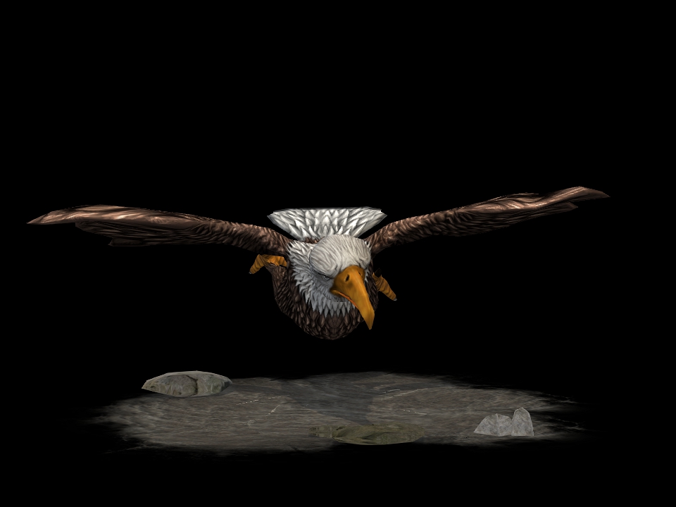 Cartoon Eagle