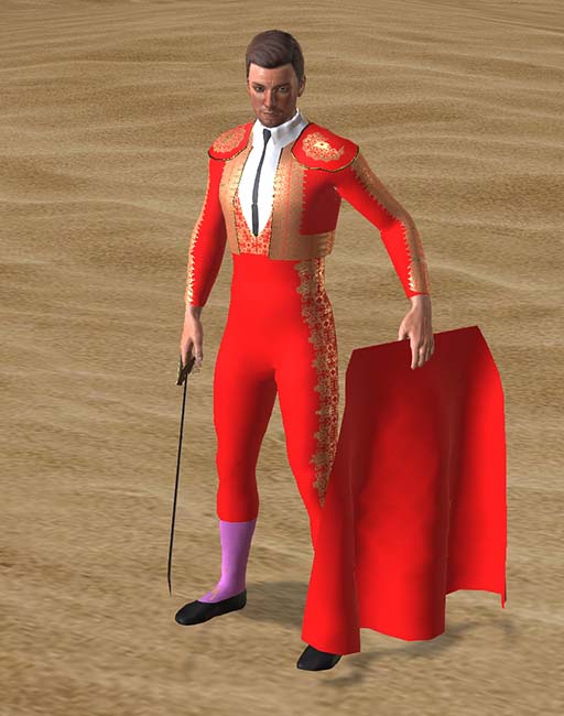 Torero outfit
