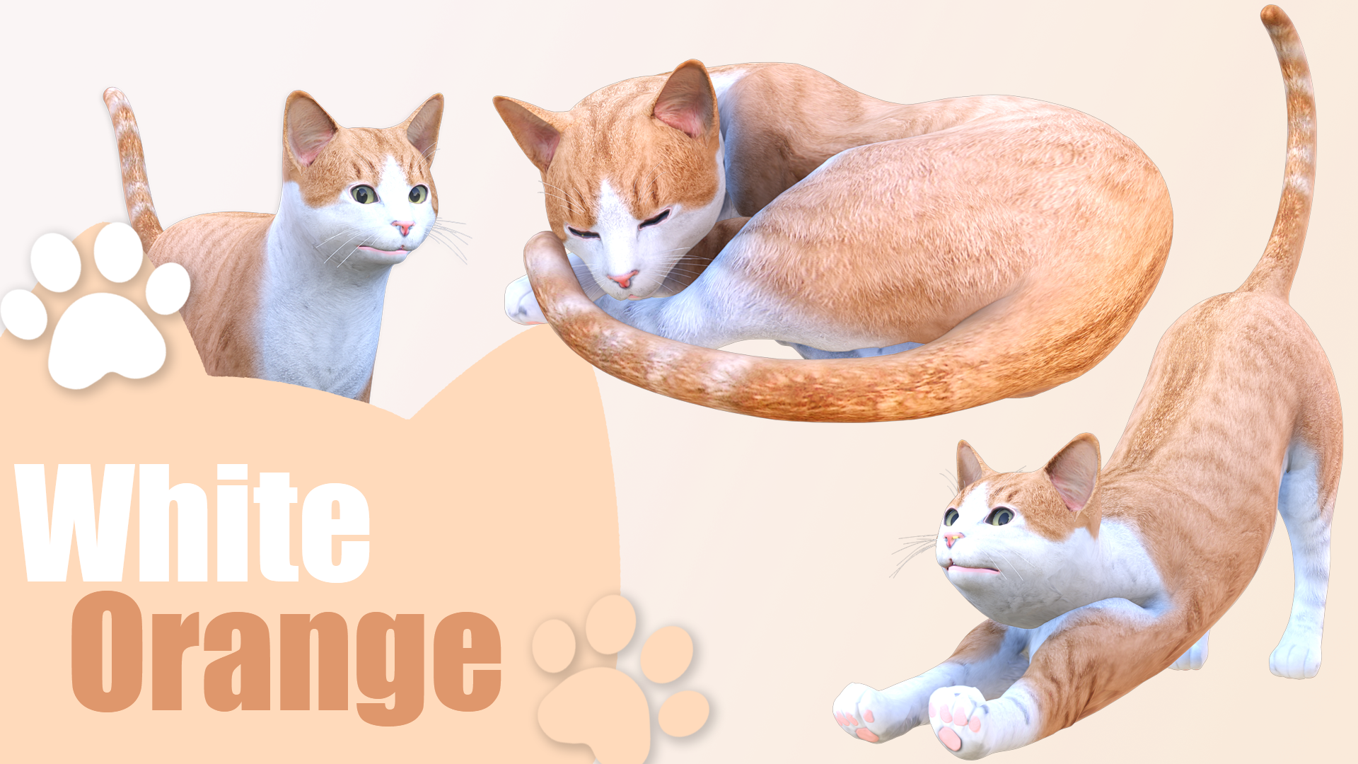 Cat_Mega_Pack